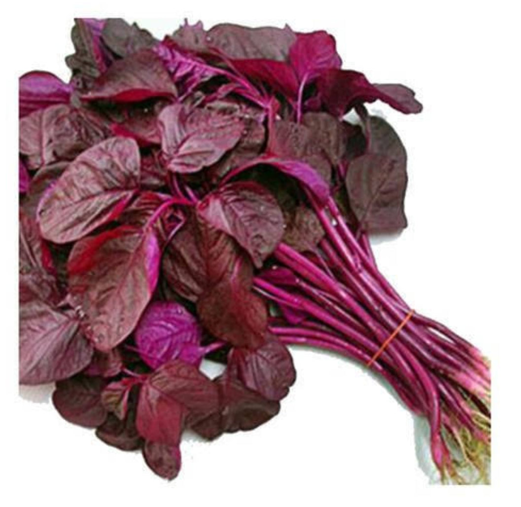 Cholai red vegitable seeds – ASHIYANA STORE